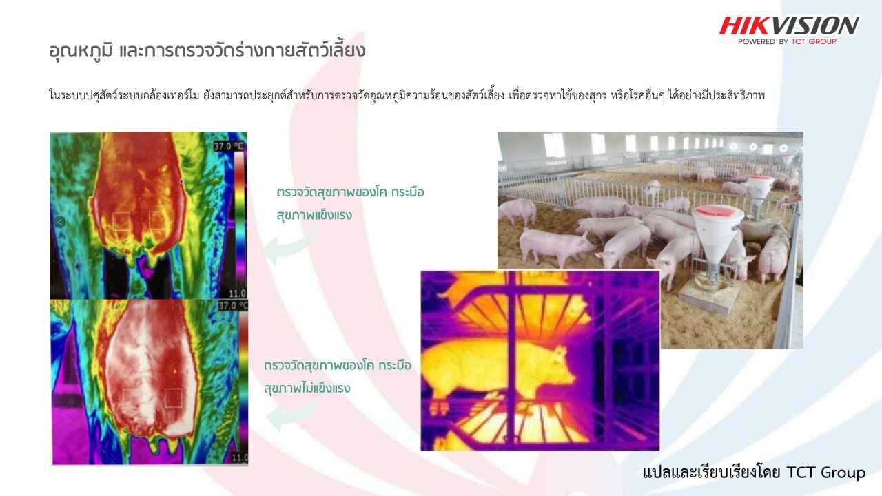 Thermoscan Solution System – โปรซีเคียวอินเตอร์เทค